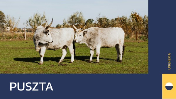 Puszta