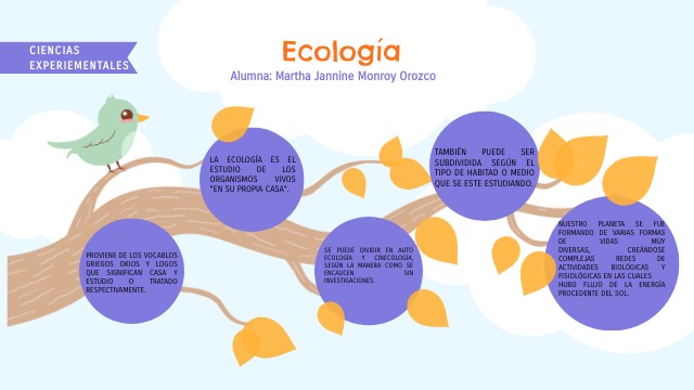 BRANCH LIST | Genially