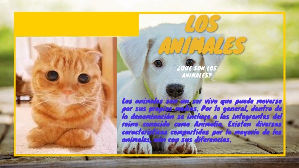 PRESENTACIÓN ANIMALES | Genially