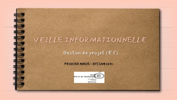 Veille informationnelle Perrier Marie