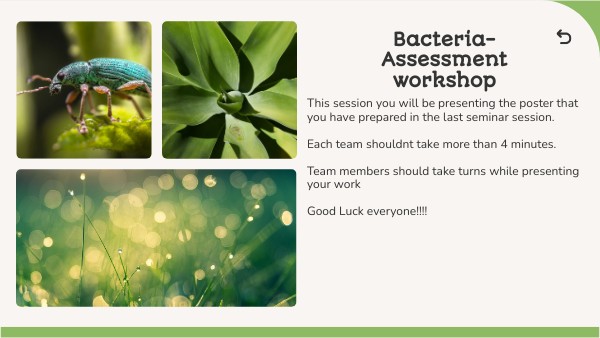 Copy - Assessment workshop