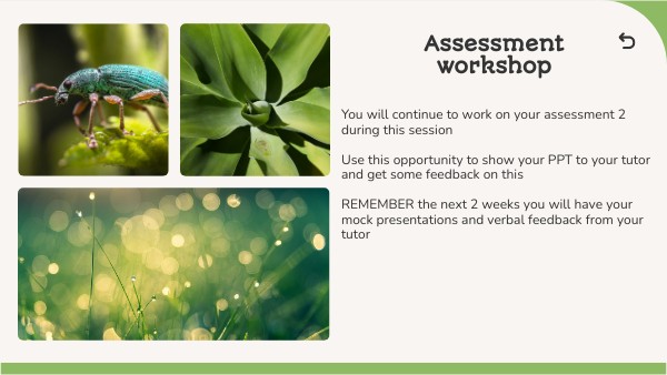 Viral diseases - Assessment workshop