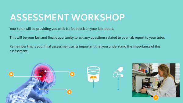 Assessment workshop