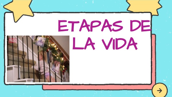 ETAPAS DE LA VIDA