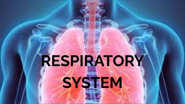 RESPIRATORY SYSTEM