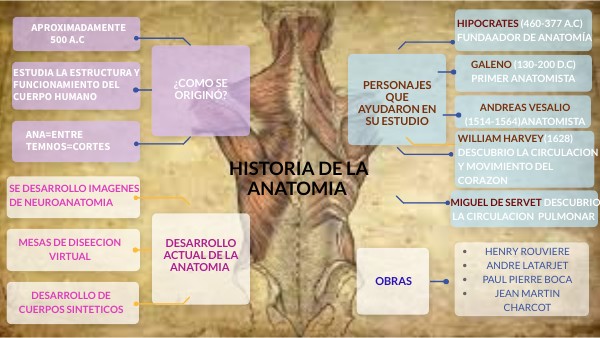 HISTORIA DE ANATOMÍA | Genially