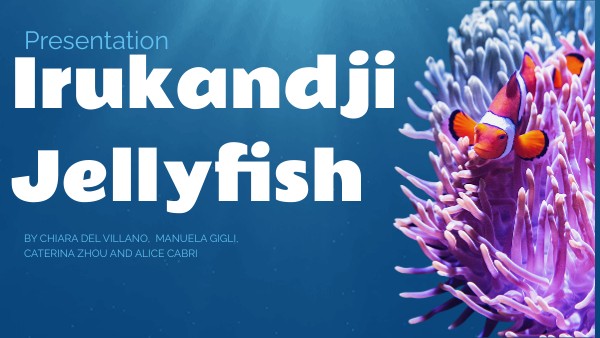 OCEAN PRESENTATION II