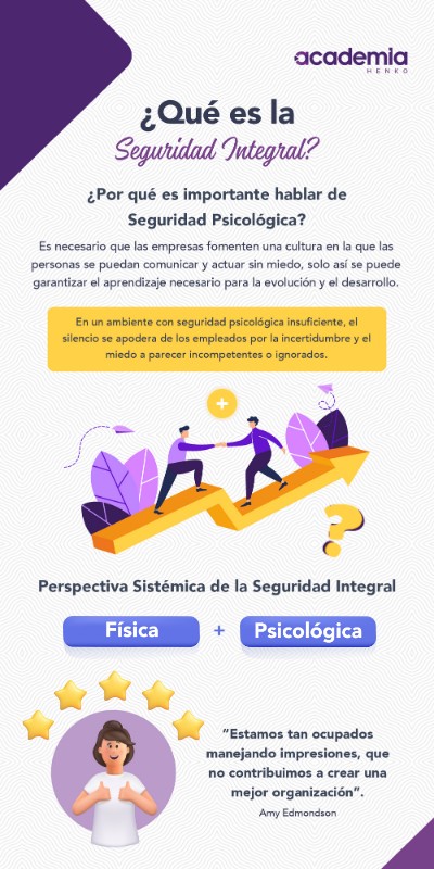 Que es la seguridad integral