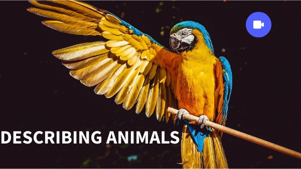 VOCABULARY-DESCRIBING ANIMALS | Genially