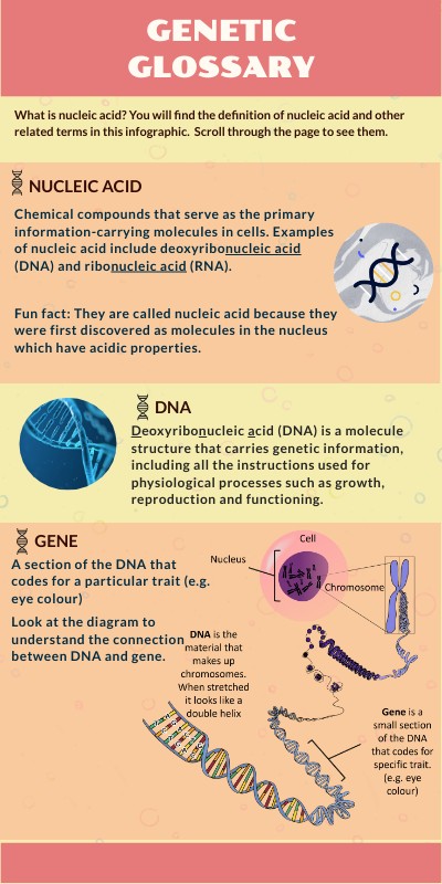 genetic glossary | Genially