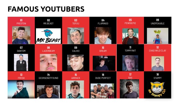 famous youtubers project