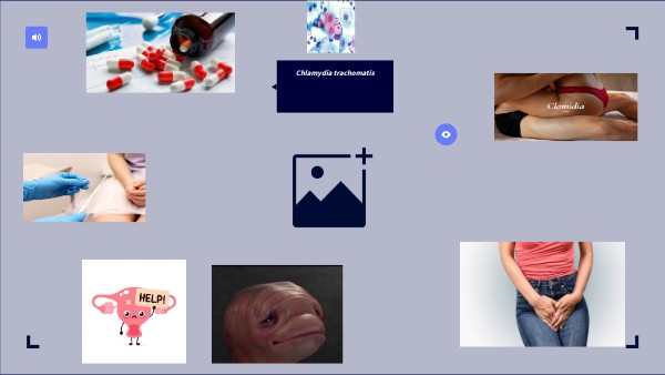 Imagen interactiva chlamydia
