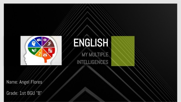 Multiple Intelligences Vilmy