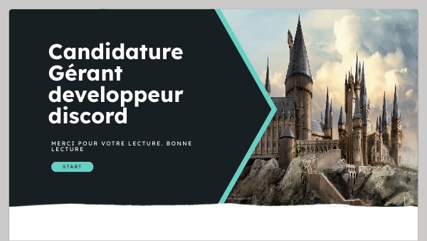 Candidature Gérant Dev Discord | Genially