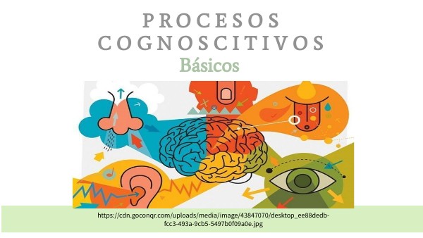 PROCESOS COGNOSCITIVOS BÁSICOS | Genially