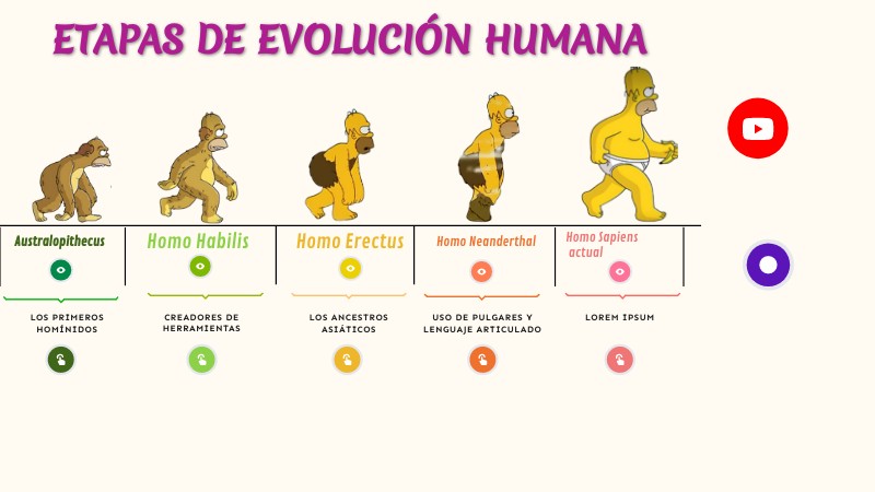 ETAPAS DE EVOLUCIÓN HUMANA | Genially