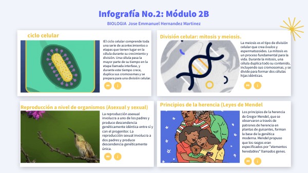 STORYBOARD GENIAL | Genially