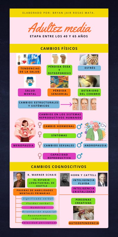 Adultez media cambios físicos y cognoscitivos.