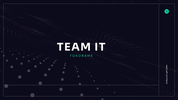 MY TEAM IT