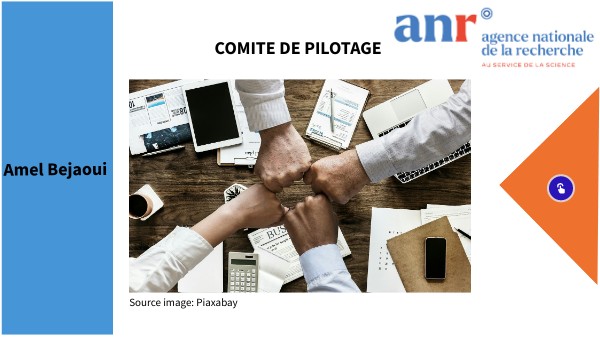 COMITE DE PILOTAGE ANR | Genially