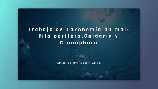 TAXONOMÍA MARIO SOLER