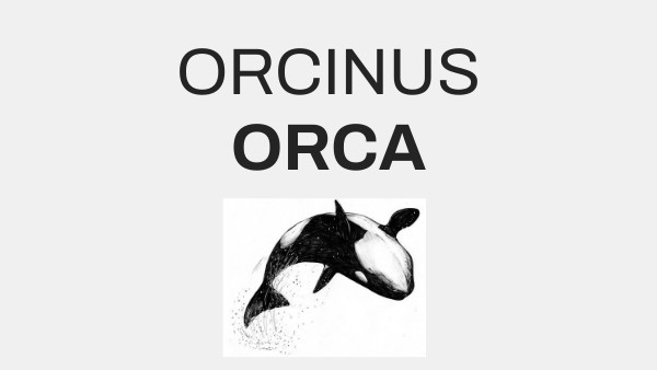 ORCAS ENGLISH