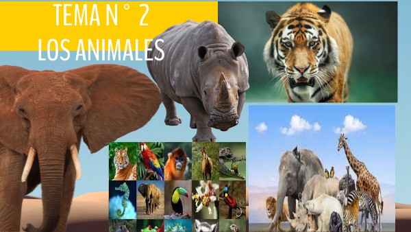 PRESENTACIÓN ANIMALES