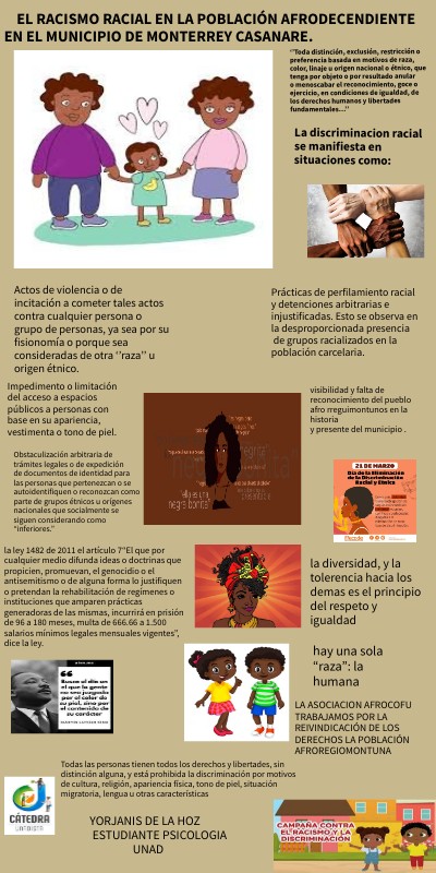 infografia racismo racial | Genially