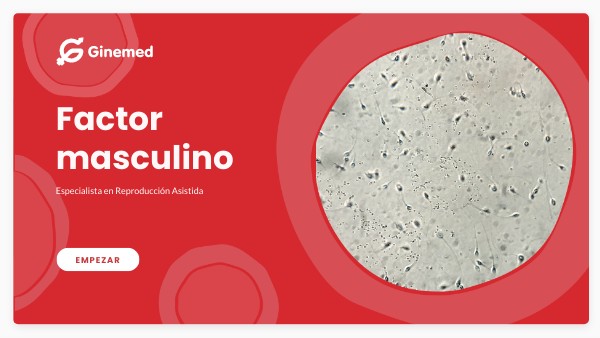 Factor masculino | Genially