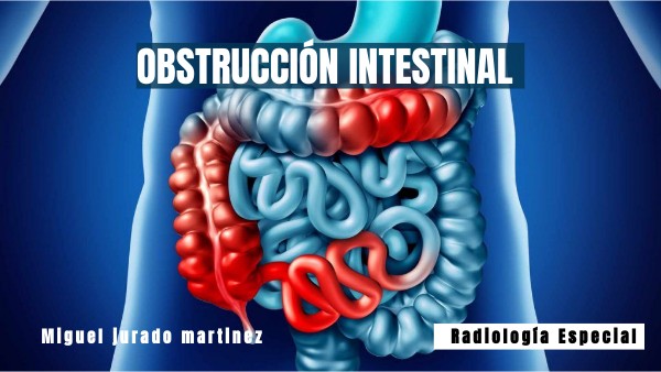 obstrucción intestinal