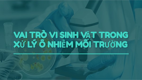 THUYẾT TRÌNH SINH VI SINH | Genially