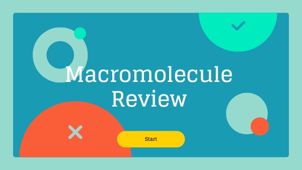 Macromolecule Review