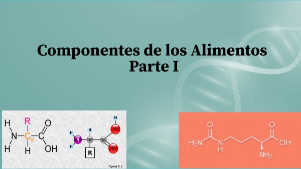 Componentes alimentos parte II | Genially