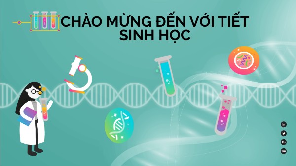 sinh 10 bài 15