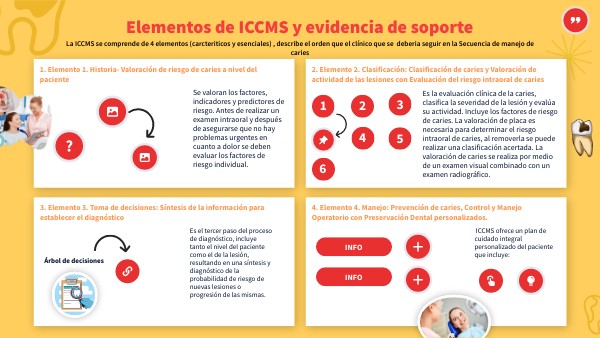 Elementos del ICCMS y Evidencia de Soporte