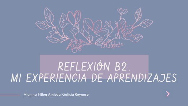 Reflexión B2. Mi experiencia de aprendizajes