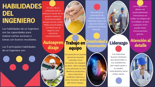 HABILIDADES DEL INGENIERO CAMILO NUMPAQUE