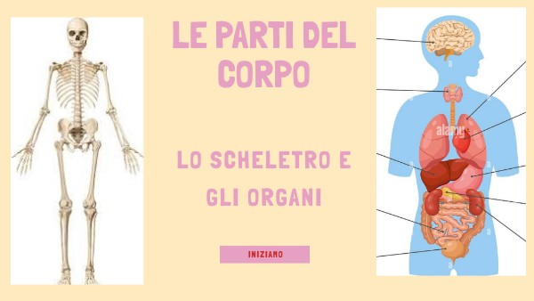 LE PARTI DEL CORPO