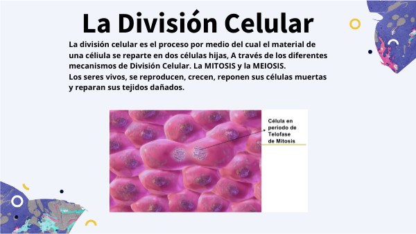 División Celular. | Genially
