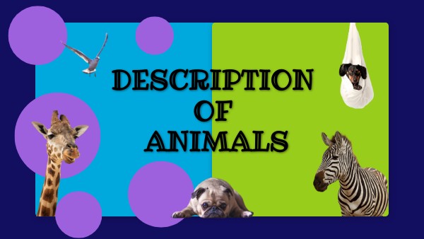 GRAMMAR UPD 6 | Genially