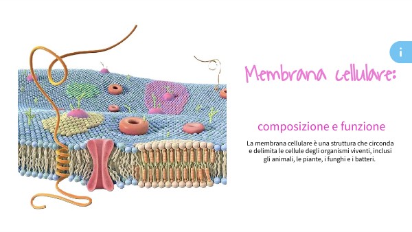 Membrana cellulare | Genially