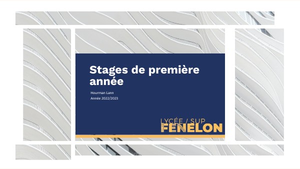 Stages de 1ère Année Lann Hourman | Genially