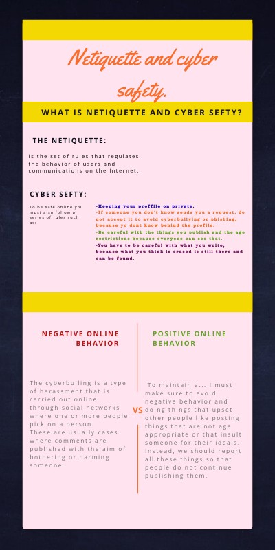 Netiquette and cyber seefty