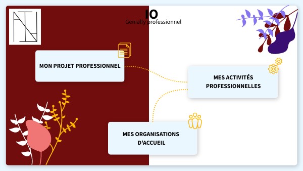 GENIALLY professionnel - IO