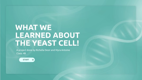 Myra and Richella's PowerPoint on The Yeast Cell! | Genially