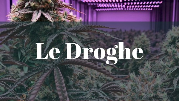 le droghe e leggi | Genially