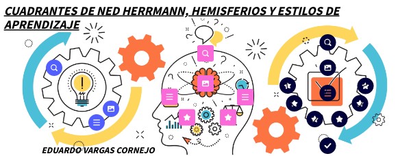 Cuadrantes de Ned Herrmann, Hemisferios y Estilos de aprendizaje