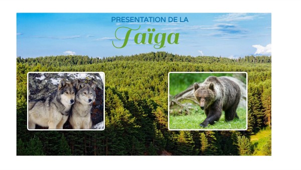 La Taiga haykel et assia