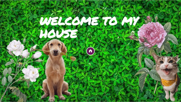 home [view.genially.com]