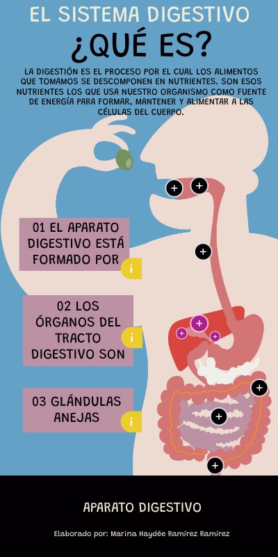 INFO VERTICAL DIGESTIVO